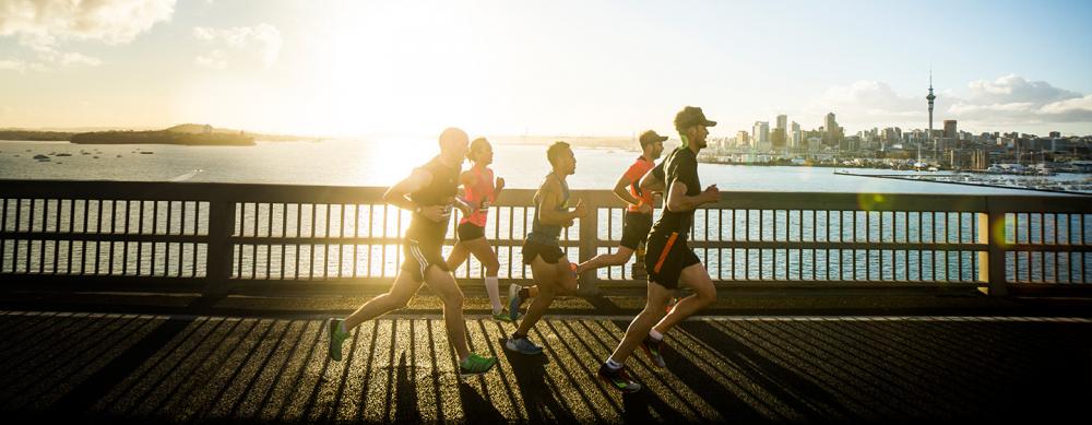 Course Overview - ASB Auckland Marathon